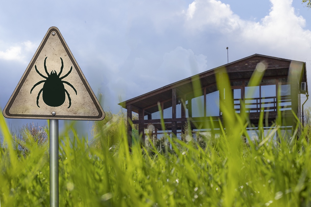 Doctors Are Warning Grandparents About a Tick Virus That Starts Killing ...